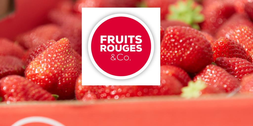 Fruits Rouges & Co : de la fraise à la filière | Label PME+