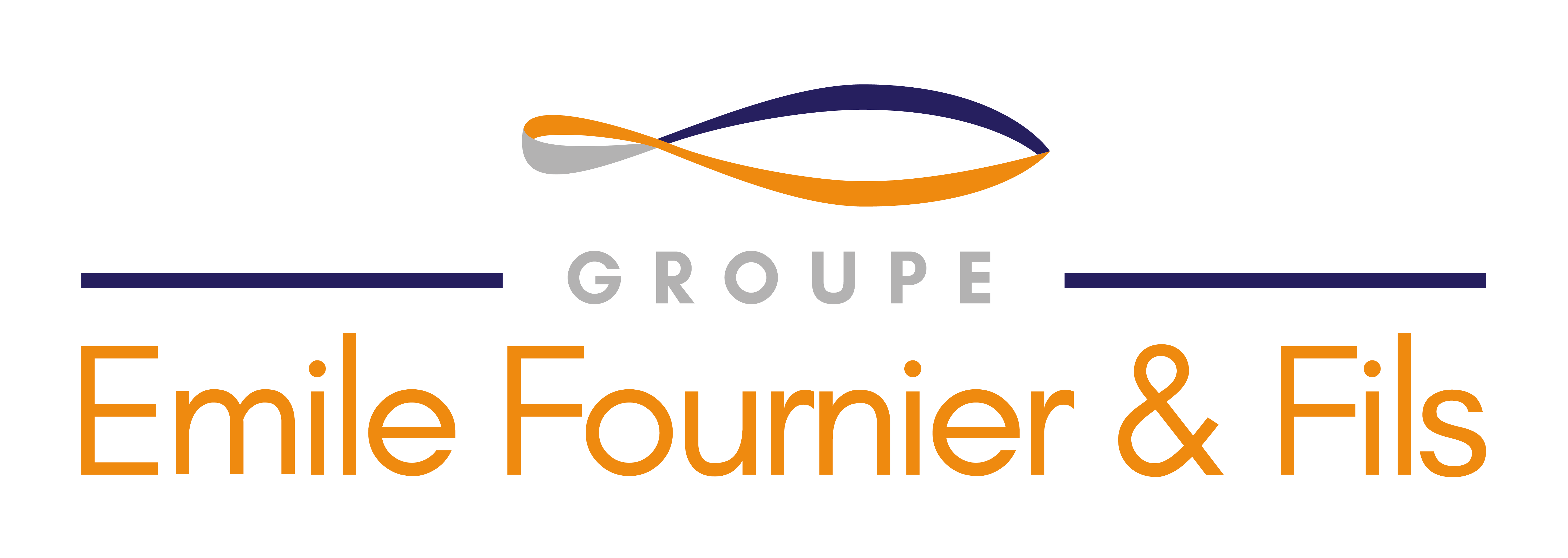 logo groupe emile fournier & fils | Label PME+