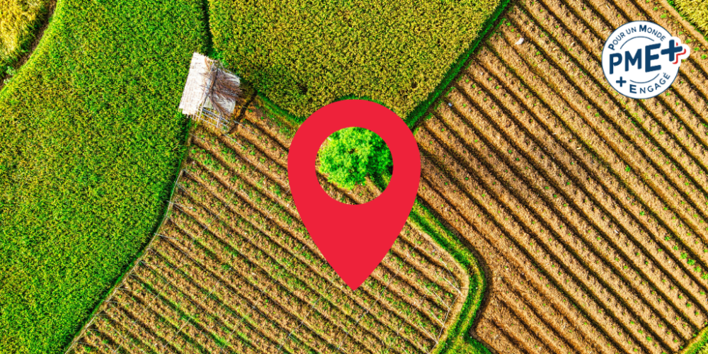 Accueil - Label PME+